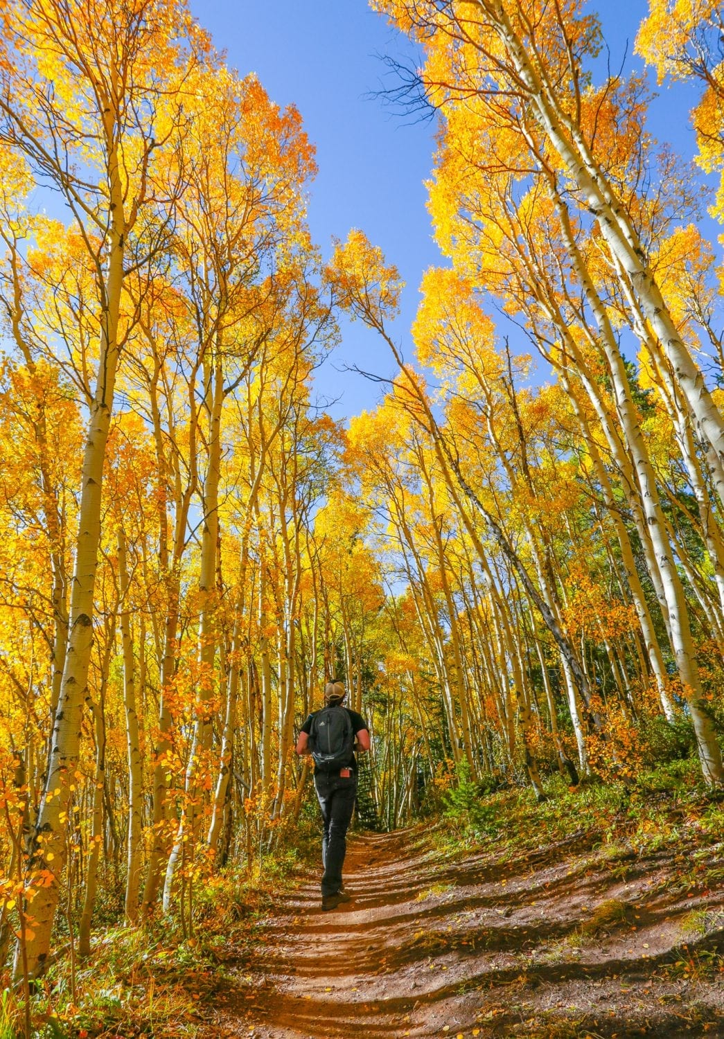 Best Fall Hikes in Breckenridge | Breckenridge, Colorado