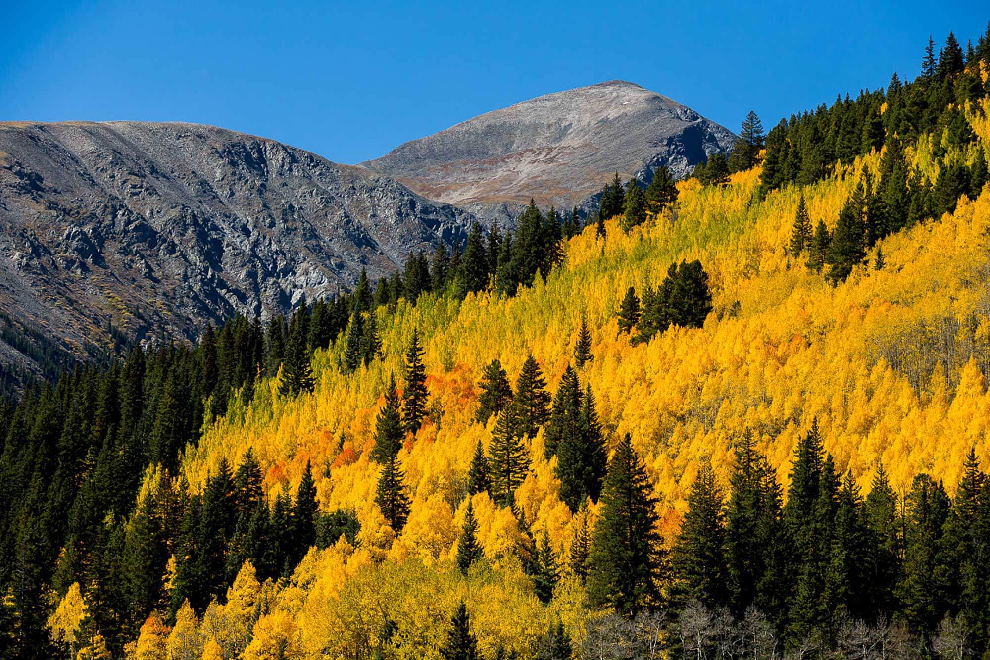 The Ultimate Fall Leaf-Peeping Guide to Breckenridge, Colorado